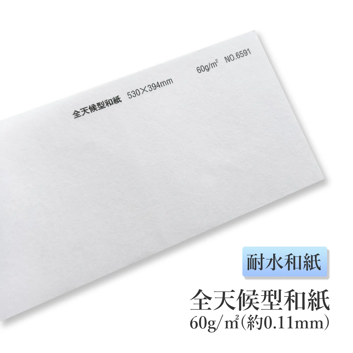 水に強い紙「耐水紙」の実力を徹底検証！耐久実験レポート | 紙問屋の通販 KAMIOL SHOP（カミールショップ）